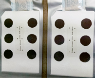 Home - Reflex Industries INC